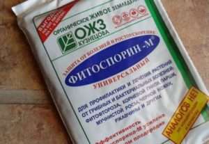Обработка клубники весной от болезней и вредителей: как и чем